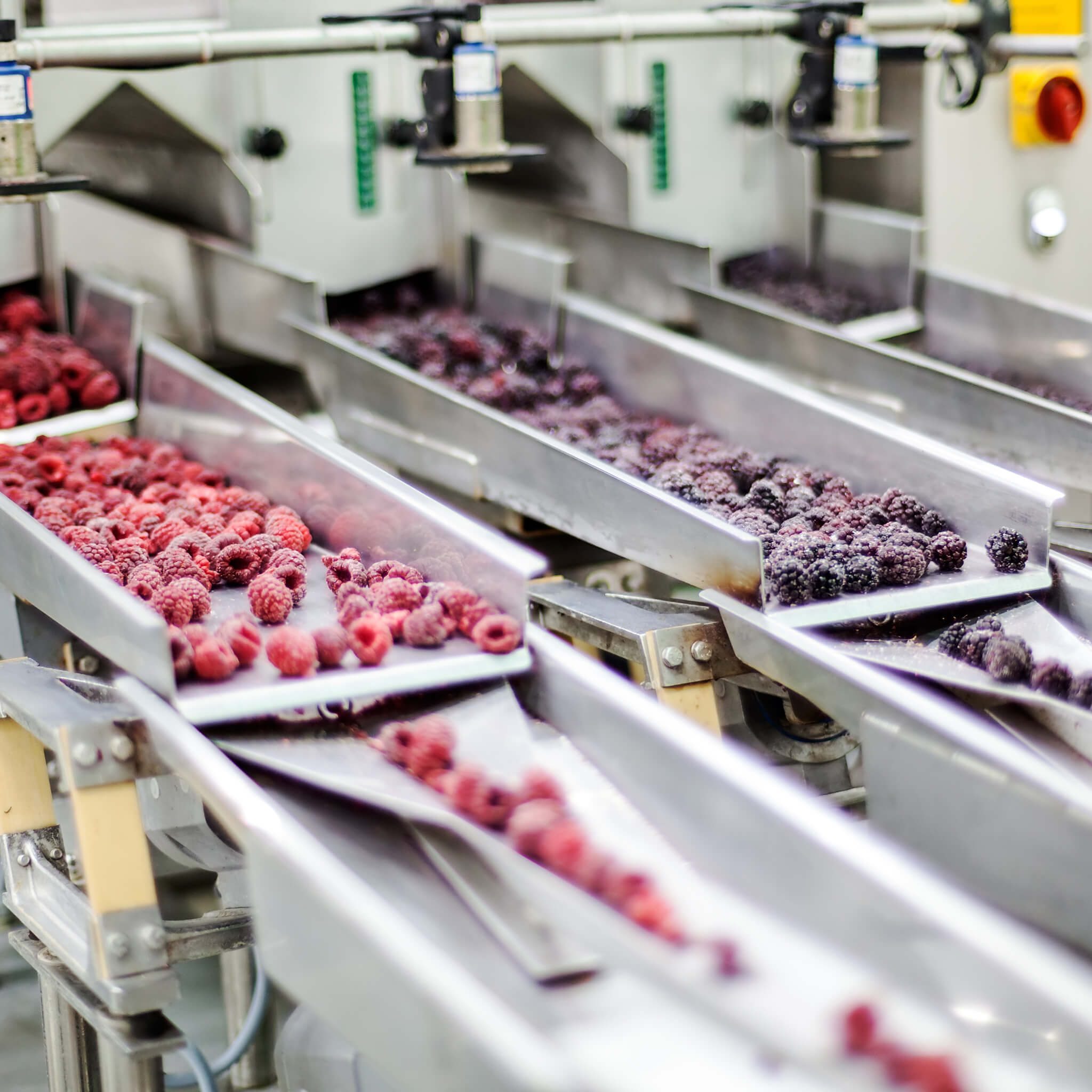 Food Production Services | Brisbane Steel Fabrication Specialists